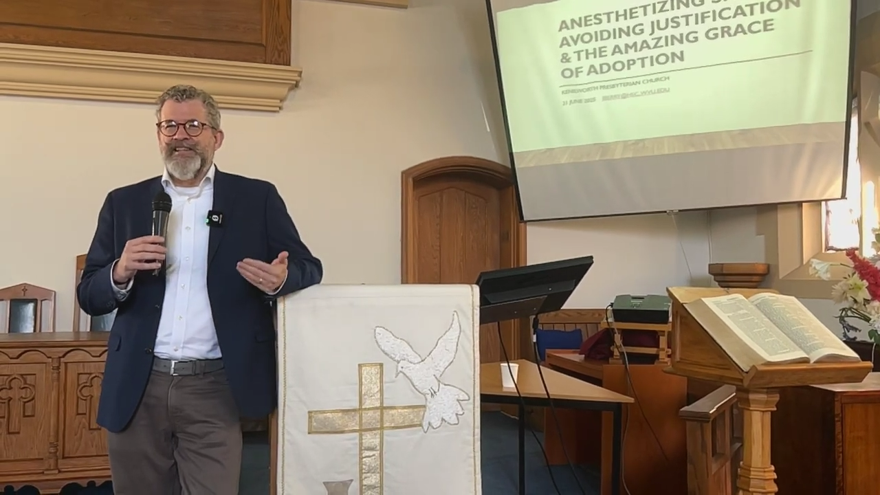 Anaesthetizing shame: Avoiding justification and the grace of adoption ...